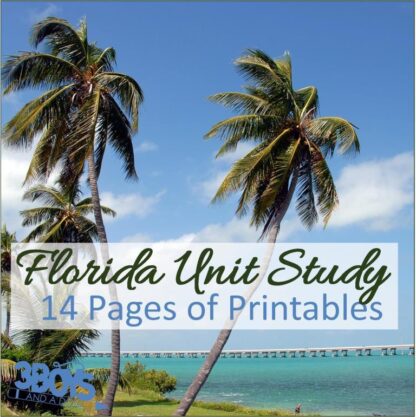 Florida State Unit Study - 3 Boys and a Dog, Shop