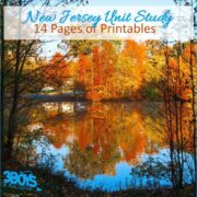 New Jersey State Unit Study - 3 Boys and a Dog, Shop