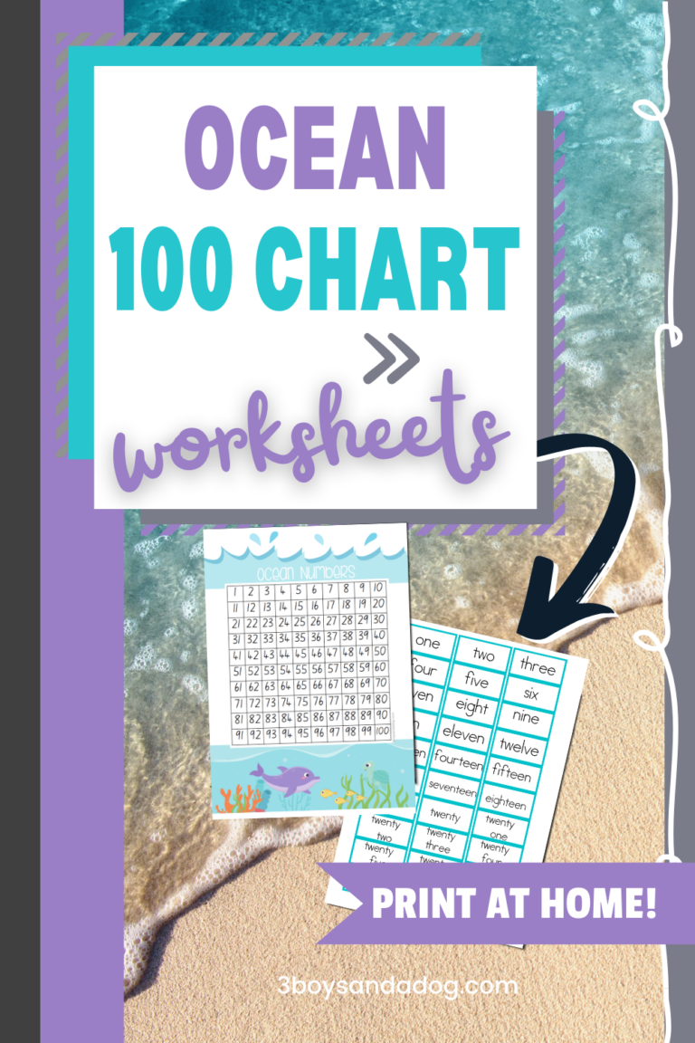 Ocean 100 Chart - 3 Boys and a Dog, Shop