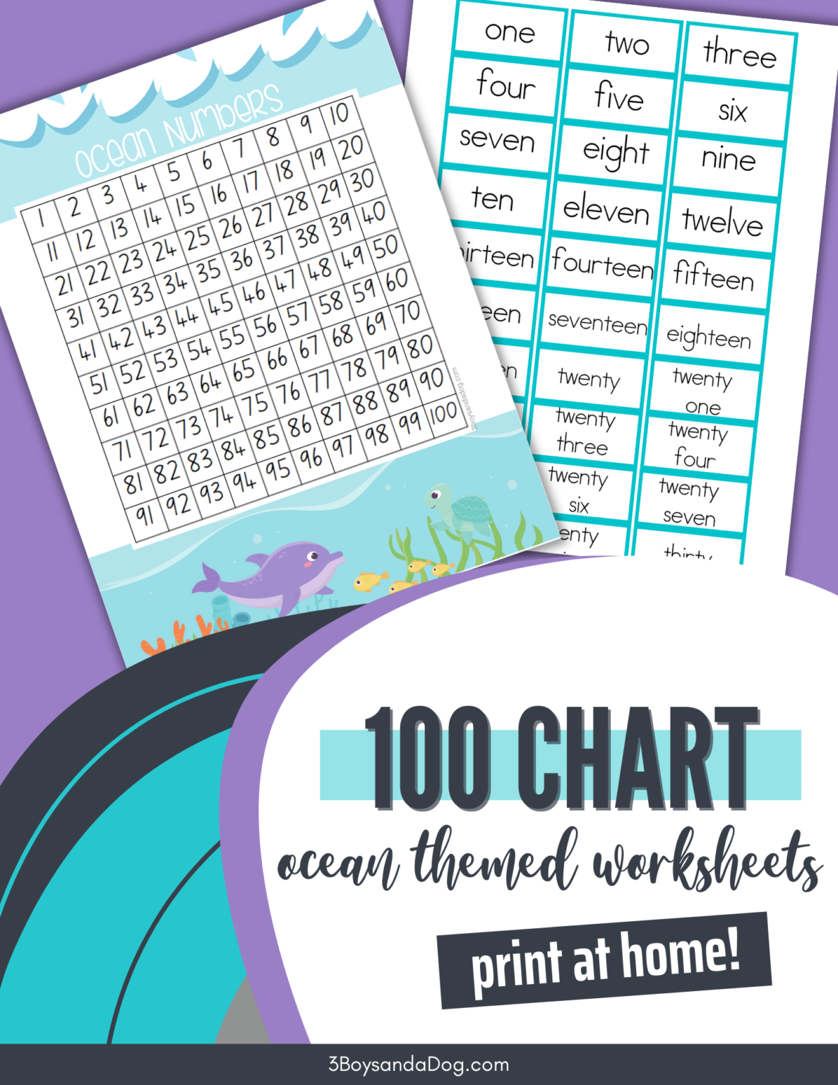 Ocean 100 Chart - 3 Boys and a Dog, Shop