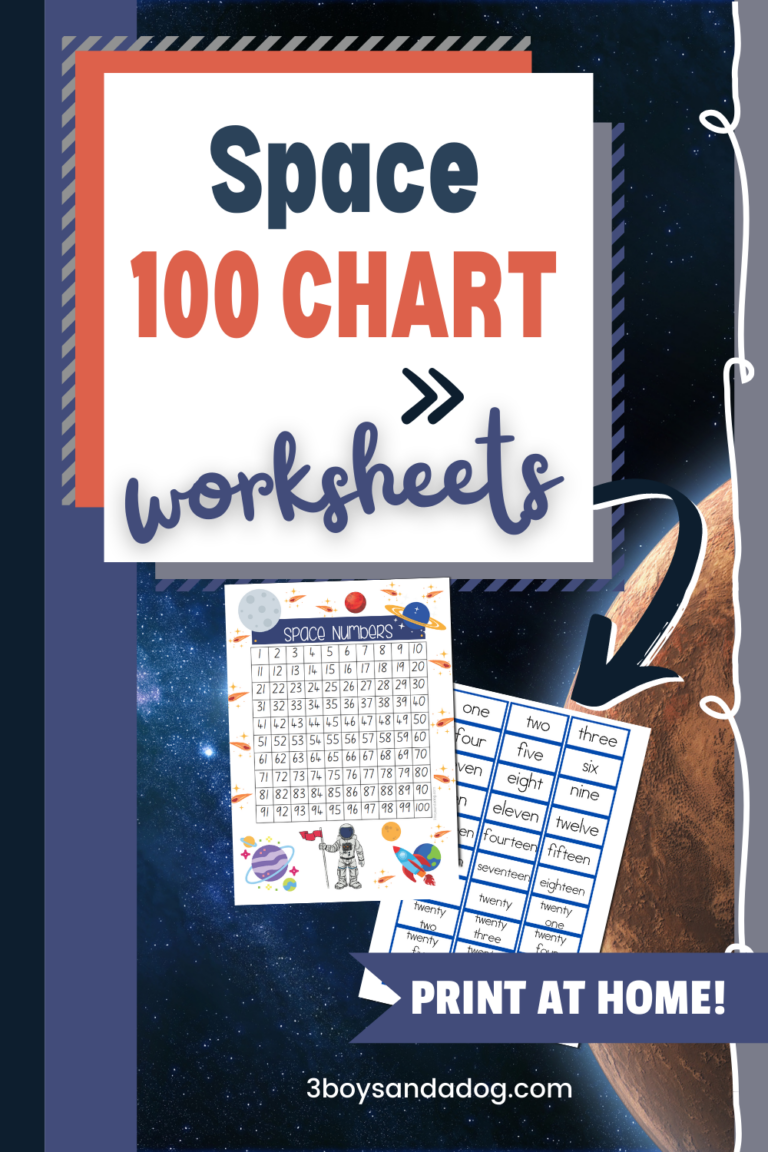 Space 100 Chart - 3 Boys and a Dog, Shop