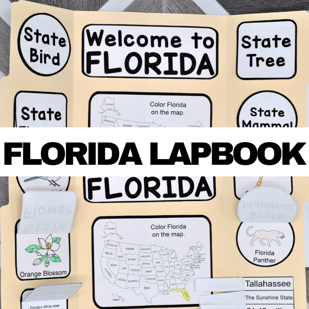 Florida Lapbook Elements - 3 Boys and a Dog, Shop