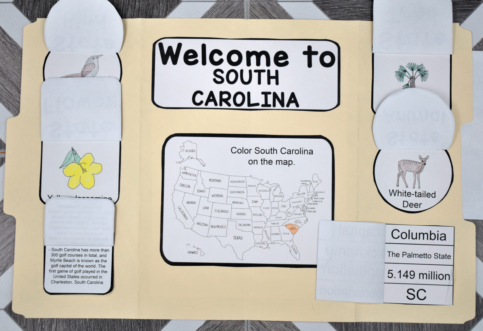 South Carolina Lapbook Elements - 3 Boys and a Dog, Shop