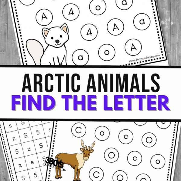 Arctic Animals Find the Letter - 3 Boys and a Dog, Shop